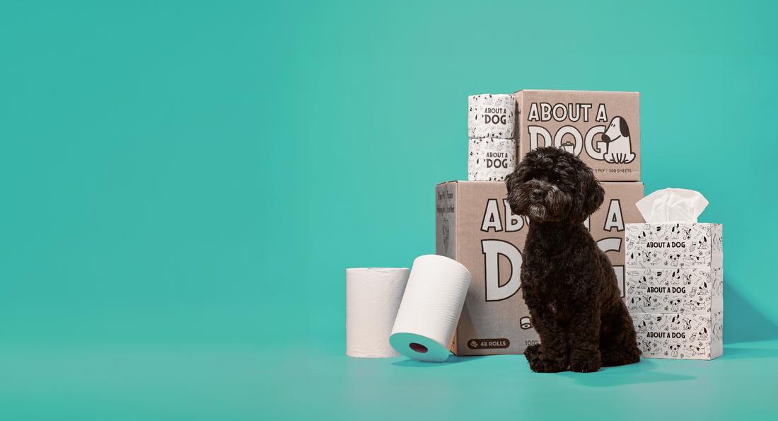 About A Dog – About A Dog Australia